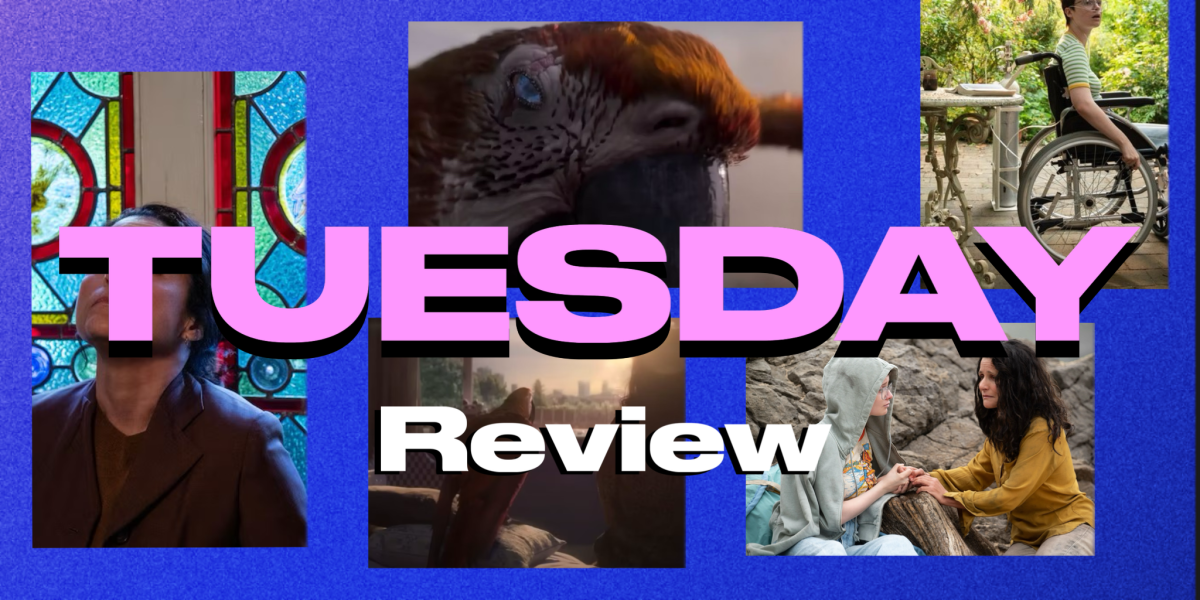 ‘Tuesday’ – Review